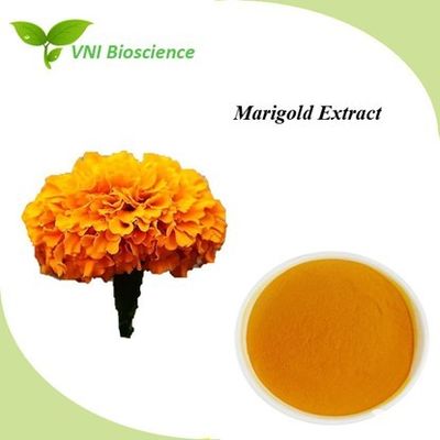 Food Grade Marigold Flower Extract