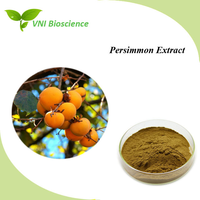 Natural Persimmon Plant Extract Powder Anti Inflammatory Diospyros Kaki L.F