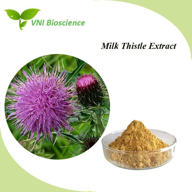 Naturalized Plant Extract Powder Protect Liver Milk Thistle Extract Powder