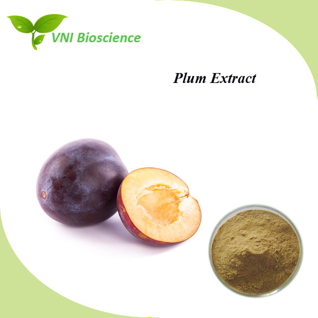 Anti Allergy Plant Herbal Extract Natural Plum Extract Powder ISO