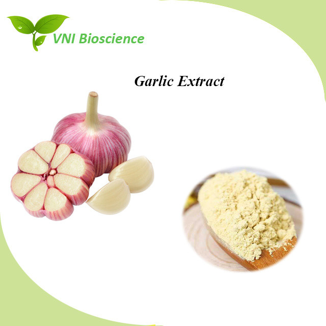 Fresh Garlic Extract Allicin Powder To Improve Immune Function