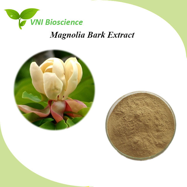 Anti Inflammatory 1%-10% Honokiol Magnolia Bark Extract Natural Magnolol