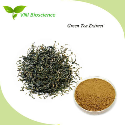 Plant Herbal Extract factory, Buy good quality Plant Herbal Extract ...